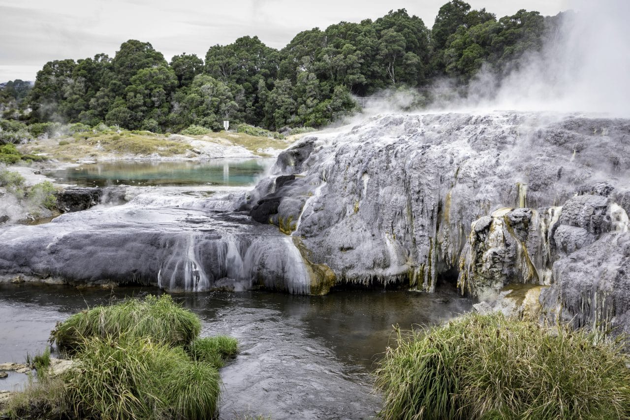 New Zealand - Steamy Nature - Stephan Kriesel